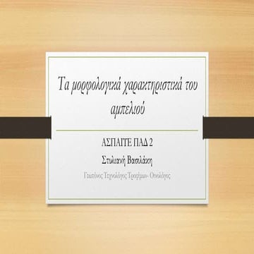 Μικροδιδασκαλία 20 λεπτών | DOC