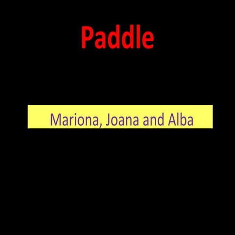 Paddle | PPT