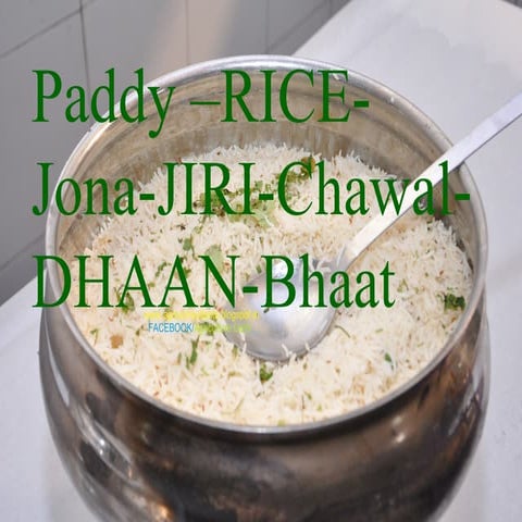 Paddy Rice package of practices India | PPT