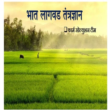 Paddy cultivation - 2020.pdf