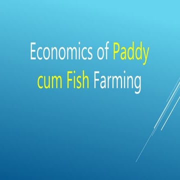 Paddy cum fish | PPTX
