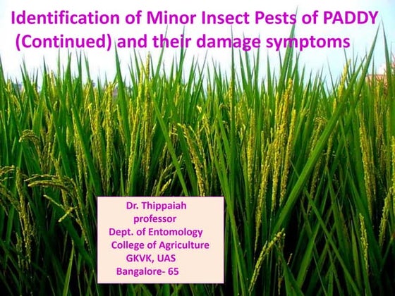pest of horticulture crops and their management .pptx
