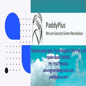 Paddyplus pitch plan | PDF