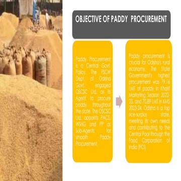 Paddy Procurement Presentation for MNO and MSO | PPTX
