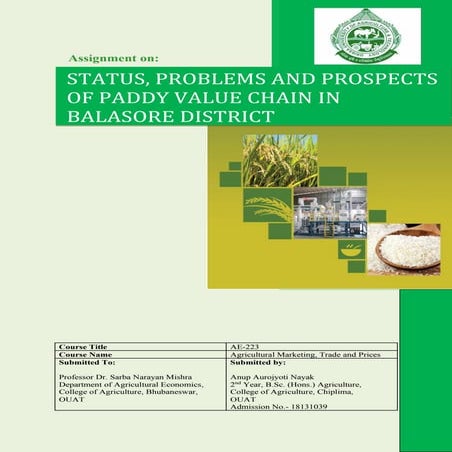 Paddy Value Chain in Balasore | PDF
