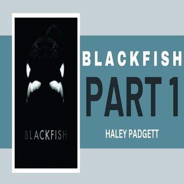 Blackfish Documentary Slide Show | PDF