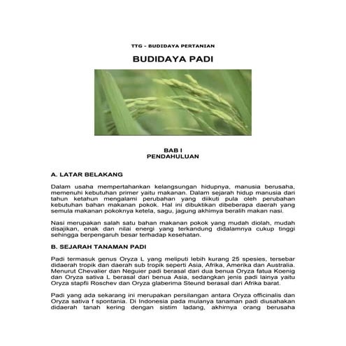 Budidaya padi organik dengan sistem sri | DOCX