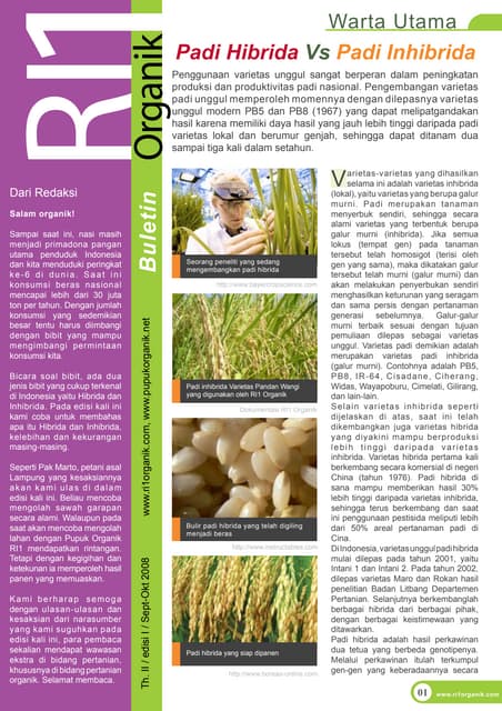 KELOMPOK 3_VARIETAS -VARIETAS PADI-2.pptx