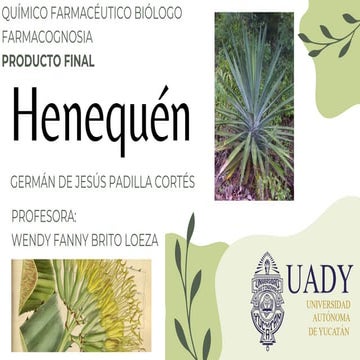 PadillaGermán_ProductoFINAL HENEKEN MEXICO | PDF