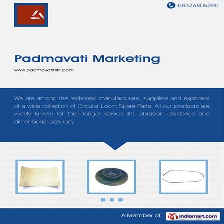 Padmavati marketing | PDF