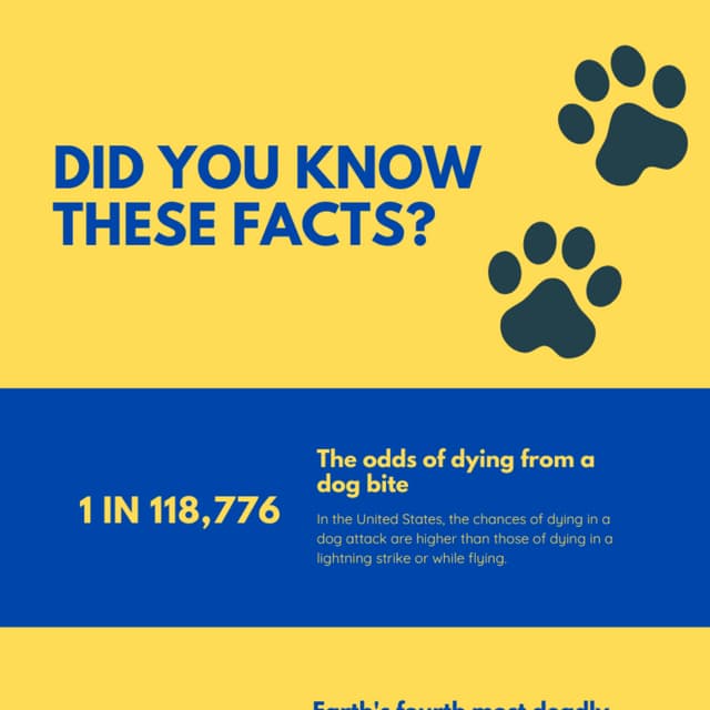 PA Dog Bite Injury Lawyers Infographic.pdf