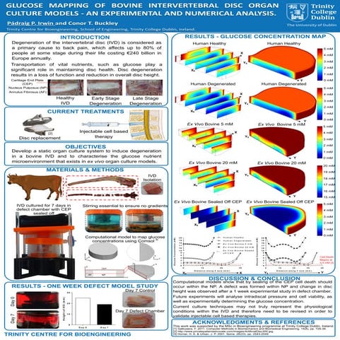 Dissertation Poster for Trinity College Dublin | PDF