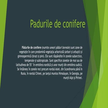 Geografie padurea ecuatoriala | PPT