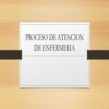 Formato modelo de pae | DOCX