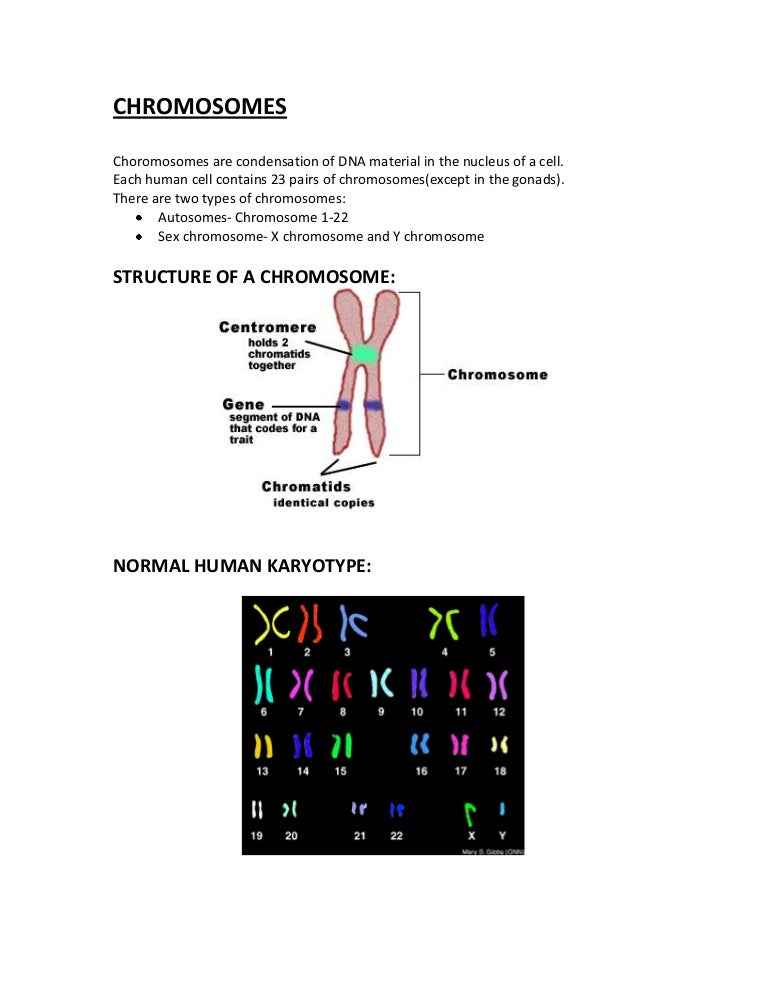 Chromosomal Disorders