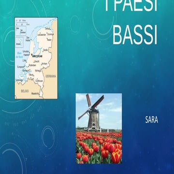 Paesi bassi | PPT