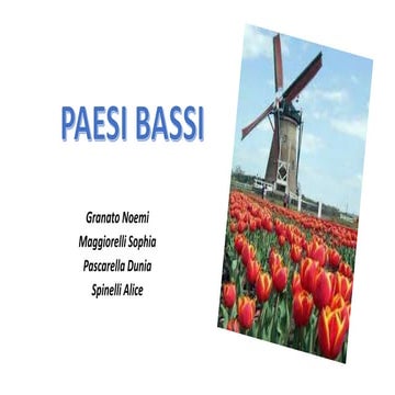 Paesi Bassi | PPT