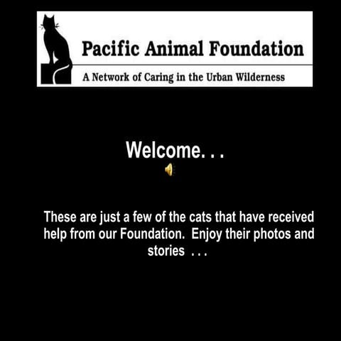 Reading Activity, the black cat | PPTX
