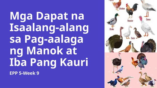 EPP-WEEK-4-DAY-4-Uri-ng-Manok-at-Pugo.pptx