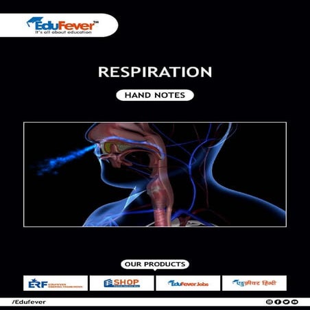 Respiration - Biology Handwritten Notes | PDF