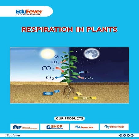 Respiration in Plants - Biology Revision Notes | PDF