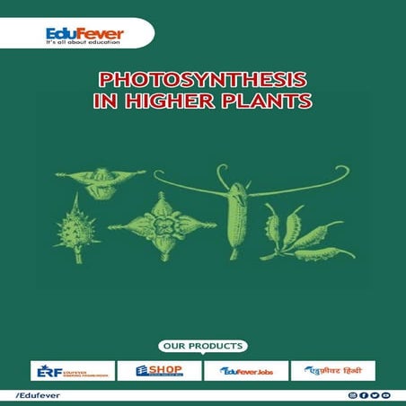Photosynthesis in Higher Plants-Biology Revision Notes | PDF
