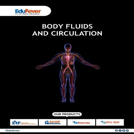 Body Fluids and Circulation - Biology Revision Notes | PDF