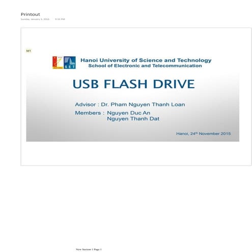 USB Flash Drive | PDF