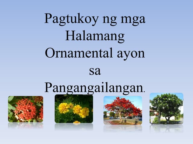 HALAMANG ORNAMENTAL.pptx