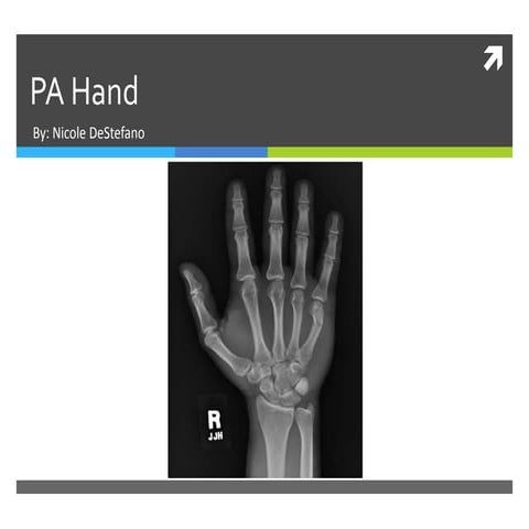 PA Hand Final | PPTX