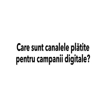 Canale plătite pentru campanii digitale | PDF