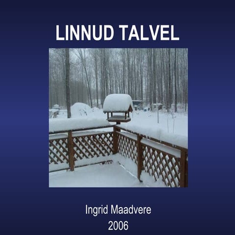 Metsloomade talv | PPT