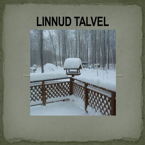 Linnud talvel | PPT