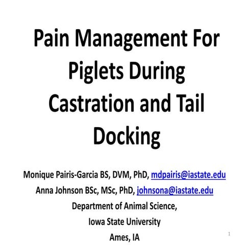 Pain Management | PPTX