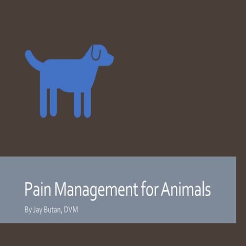 Pain Management for Animals | PPT