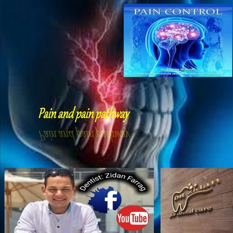Pain and pain control | PPT