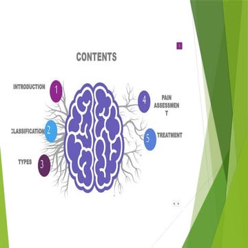 Pain; Prepared by: Husseine Jameel Saeed and Mohammed Ahmed | PPT