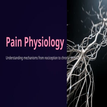 Bsp bpe guidelines_2019 | PDF