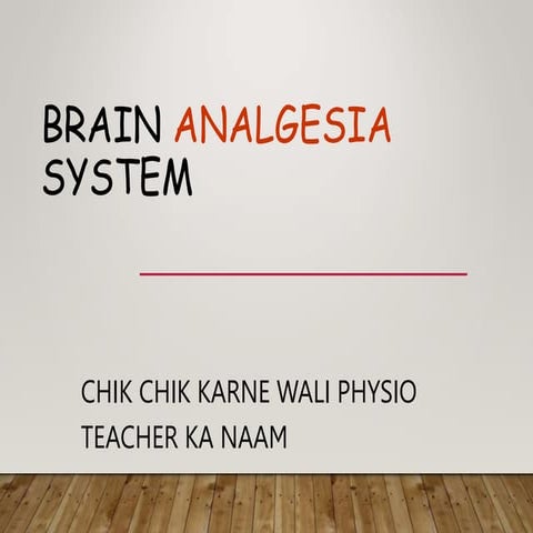 Pain analgesia system.ppt