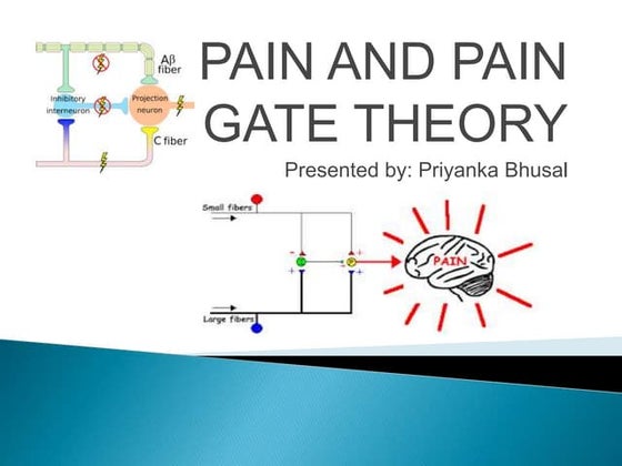 Pain gate theory | PPT