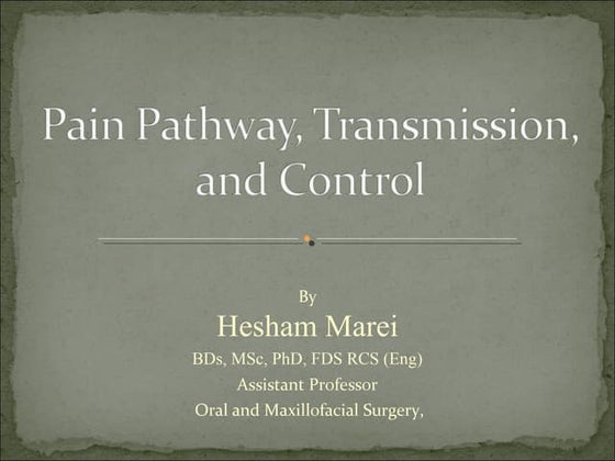 Pain gate theory | PPT