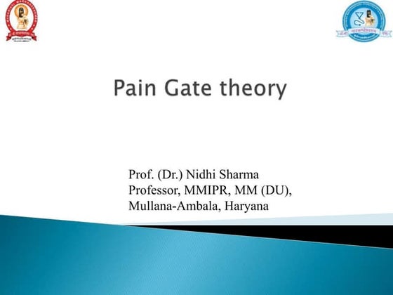 Pain gate theory | PPT