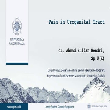 Pain in Urogenital track - dr.AHM.pptx