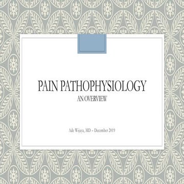 Pain Pathophysiology Overview | PPTX