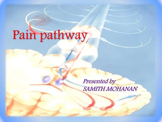 Pain gate theory | PPT