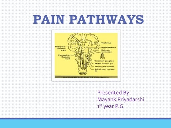 Classification of Pain | PPT