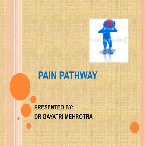 Pain pathway | PPT