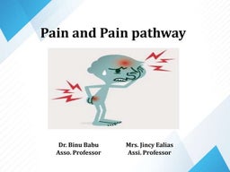 Anatomy of pain pathway | PPT
