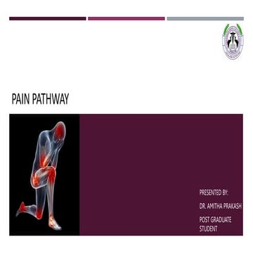 Pain pathway.pptx