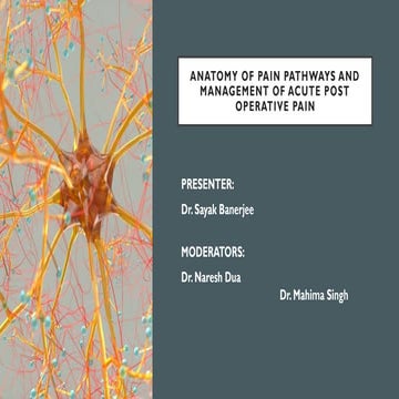anatomy of pain pathway and management of acute postoperative pain | PPTX
